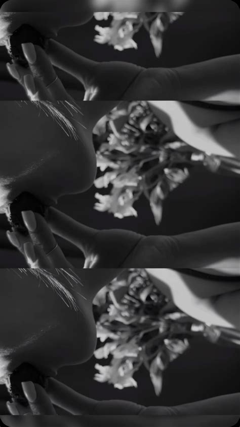 StarКАВА кавʼярня ПОЛТАВА Starkava Plt • Instagram Photos And Videos