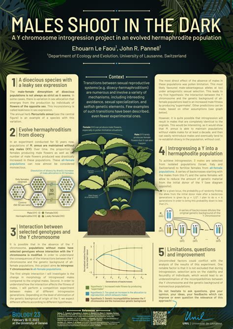 Pdf Males Shoot In The Dark A Y Chromosome Introgression Project In An Evolved Hermaphrodite