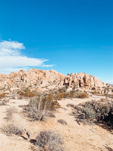 12 Gorgeous Joshua Tree Hikes You Need To Take From Easy To Difficult Destination Daydreamer