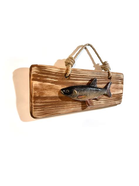 Настенная статуэтка голавля исп 4 Регалино