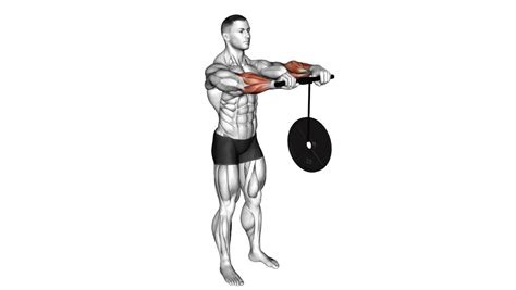10 Lats Stretching Exercises Boost Flexibility And Strength Now Workout Guru
