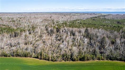 Lindsey Vessey Lindsey Vessey Provincial Realty