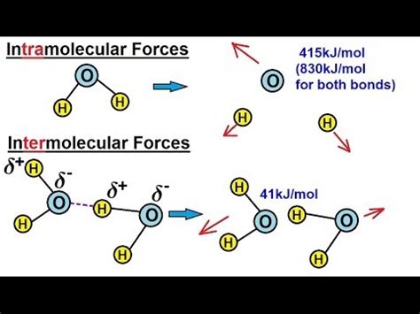 Chemistry Liquids And Solids Of InTERmolecular And InTRAmolecular Forces YouTube