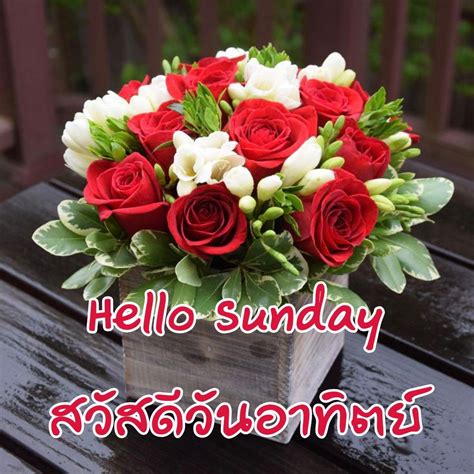 สวัสดีวันอาทิตย์ สวัสดีตอนเช้า วันอาทิตย์