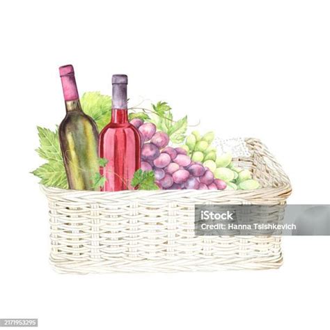 와인과 포도 세트 바구니에 담긴 와인과 분홍색과 녹색 포도의 유리병의 구성 흰색 배경에 수채화 그림입니다 그림은 손으로 그린 것입니다 메뉴 카드 초대장 및 직물에 적합합니다