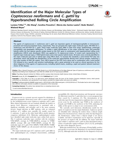 Pdf Identification Of The Major Molecular Types Of Cryptococcus Neoformans And C Gattii By