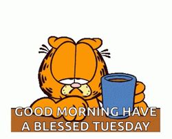 Garfield A Blessed Morning Tuesday Meme 