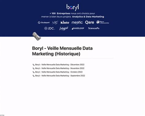 Newsletter Data Marketing And Analytics Boryl