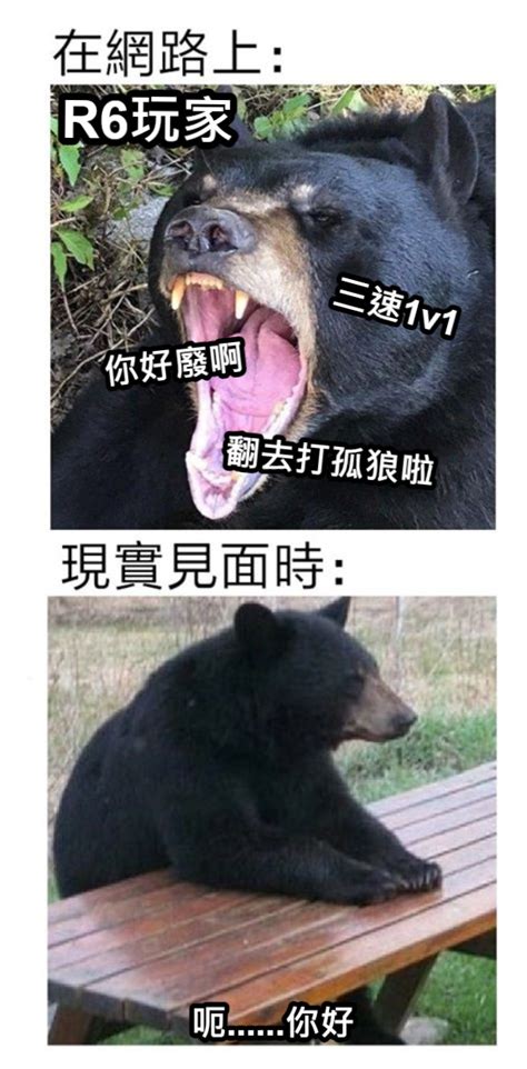 20張超好笑網路與現實的差別梗圖快來看看網友們的搞笑創作