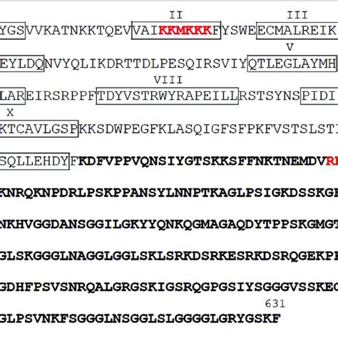 Amino Acid Sequence Of Er Mapk1 The N And C Terminal Domains Are Download Scientific Diagram