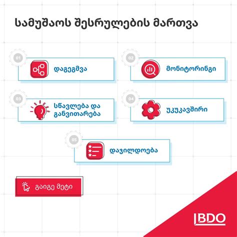 სამუშაოს შესრულების მართვა Anri Arabidze