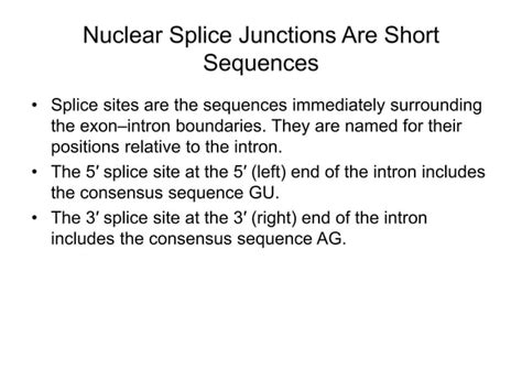 Steps For Rna Processing In General Ppt