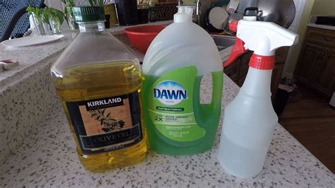 Homemade Bug Spray To Use On Plants Artofit