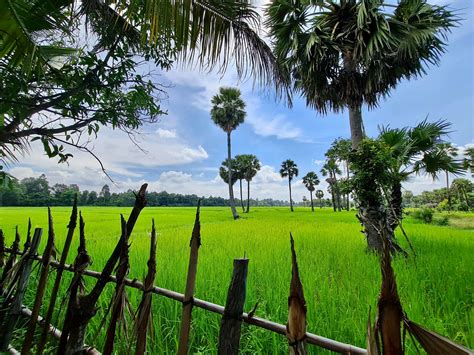 សម្រស់ស្រុកស្រែជនបទ ពិតជាស្រស់ស្អាត ទាក់ភ្នែក ធ្វើឱ្យអារម្មណ៍ស្រស់ស្រាយយ៉ាងខ្លាំង Knongsrok