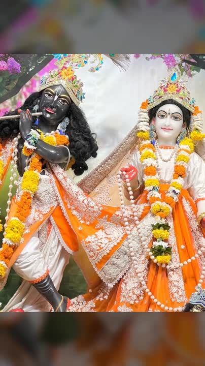 Shailendra Chauhan On Linkedin 26 Sept 2023 श्री श्री राधा माधव मंगल