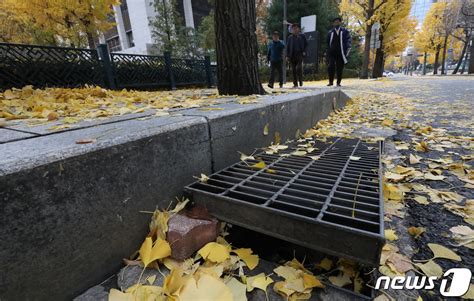 가을철 낙엽 배수로 막힘 도로 침수 주의
