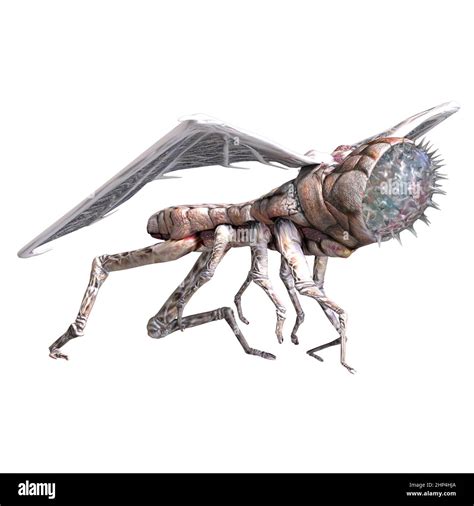 Bug Alien