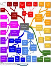 Sleep Concept Map Pdf SLEEP Shift Work Narcolepsy Restorative Sleep Intermittent Chronic REM