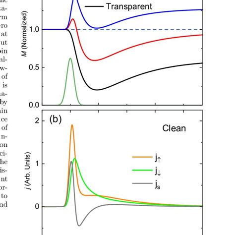 A Calculated Magnetization Dynamics Of Fe After Laser Excitation In