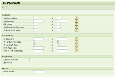 Essential SAP SD Reports ERP Teacher
