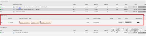 Unraid 自动检测 Zfs 池，zfs 池可视化显示 知乎