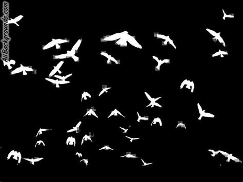 🔥 80 Flyleaf Wallpapers Wallpapersafari