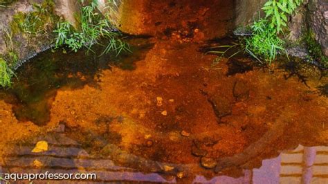 3 Reasons Why You Have Rust In Well Water How To Fix Aqua Professor