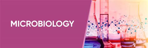 Welcome To Index Path Labs