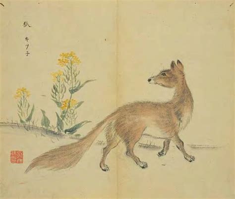 詩經圖解獸篇附釋名例詩句 每日頭條