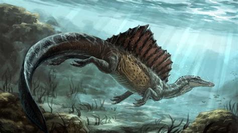This Giant Sail Backed Dinosaurs Hunting Style Is Creating A Furore