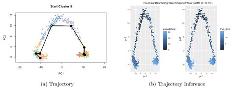 Figure 19 From Trajectory Exploration And Inference For Scrna Seq Data On Whole Versus Leaf Ends
