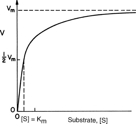 Enzyme Substrate Complex Equation