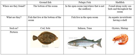 What Are The Differences Between Ground Fish Pelagic Fish And