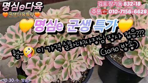 건강하고 합리적인 가격으로 보답하는 명심e다육♡1030수 Youtube