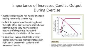 Muscle Blood Flow And Cardiac Output During Exercise Pptx