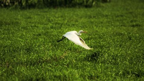 Percentage Of Population 10 Years Of Age And Over Who Has Notnever