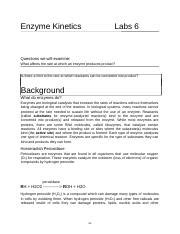 Enzyme Kinetics Lab 6 Online 1 Docx Enzyme Kinetics Labs 6 Questions We Will Examine What