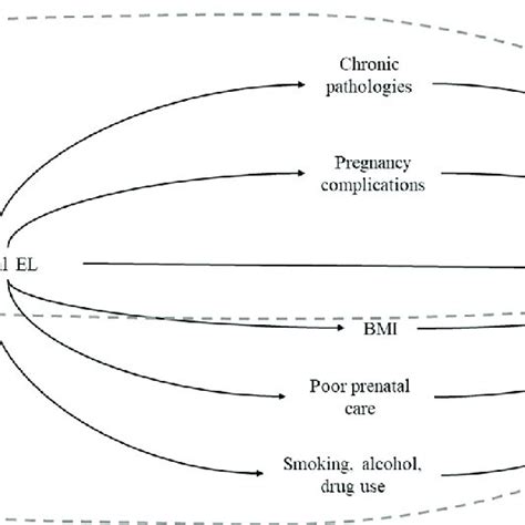 Direct Acyclic Graph Dag Of The Association Between Maternal Download Scientific Diagram