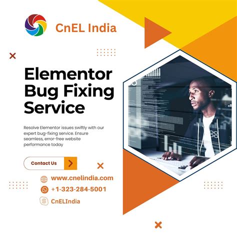 Elementor Bugfixing Webdevelopment Elementorsupport