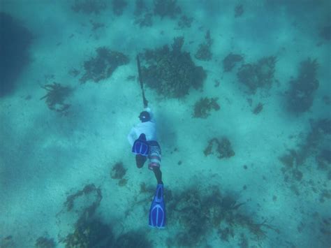 Belize Snorkeling And Diving