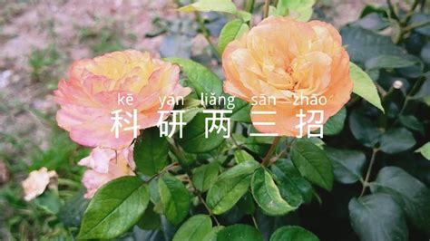 【科研两三招】12个matlab常用技巧和命令 知乎