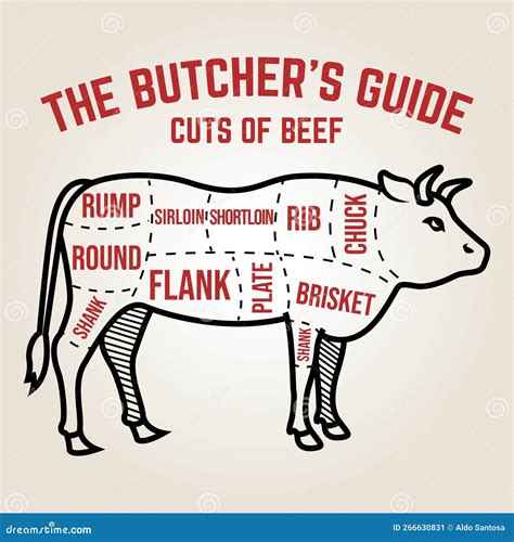 Cut Of Beef Set Poster Butcher Diagram And Scheme Cow Vintage
