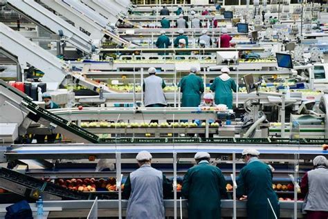 Benefits Of Advanced Automation And Robotics For The Food Industry