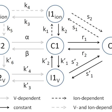 7 State Markovian Model Of Ltcc With Voltage And Ion Dependent Download Scientific Diagram