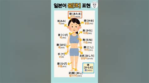 몸은 일본어로 体からだ 일본어 기초 인체 표현 배우기 Youtube