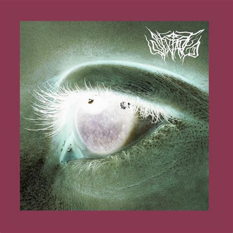 CALLING TO SAY Single By SEXTAPE Spotify