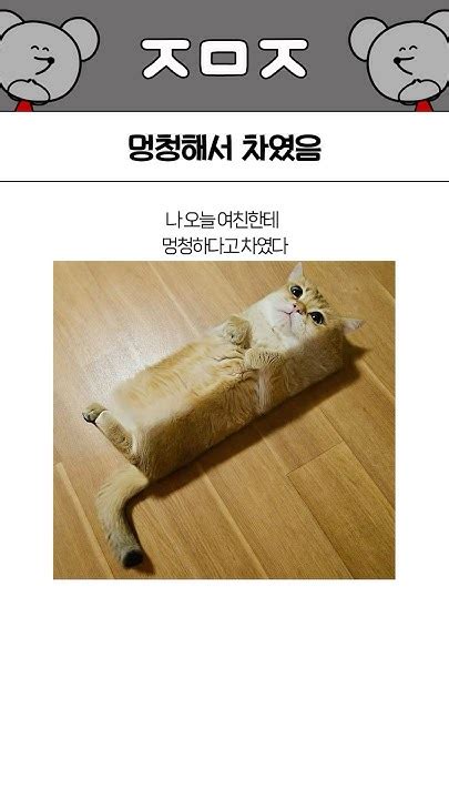 귀엽고 멍청한 상황들 429탄ㅋㅋㅋㅋㅋㅋㅋㅋㅋㅋㅋㅋ Youtube