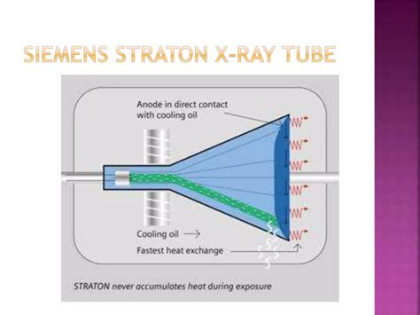 Dose Reduction Technique In Ct Scan Pptx Cameras And Camcorders