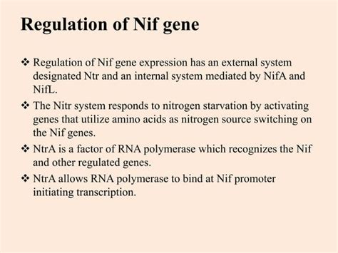 Nitrogenase Enzymepptx