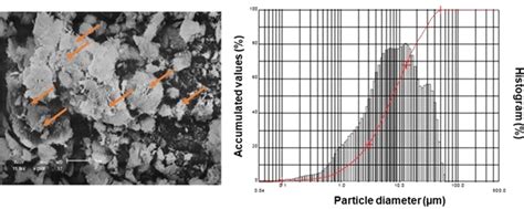 Sem Image And Histogram Of Attapulgite Clay Download Scientific Diagram